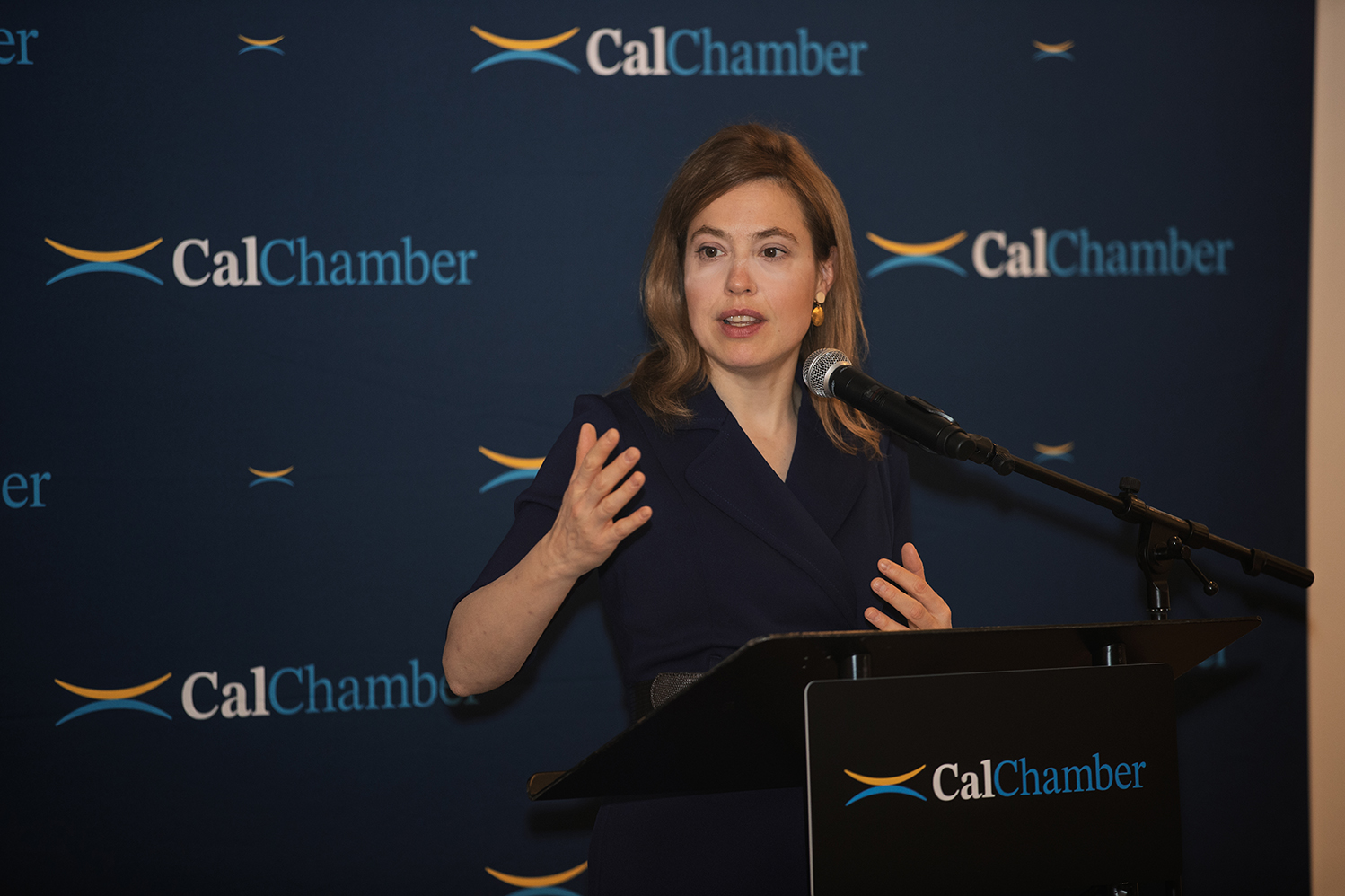 California Connections a Key in Transition to Reinventing Transatlantic ...
